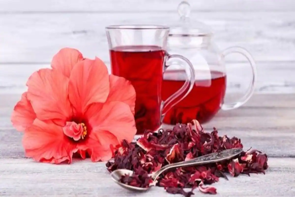 Beauty Tips : जास्वंदाच्या फुलाचा चहा (hibiscus tea) - SanvadMedia